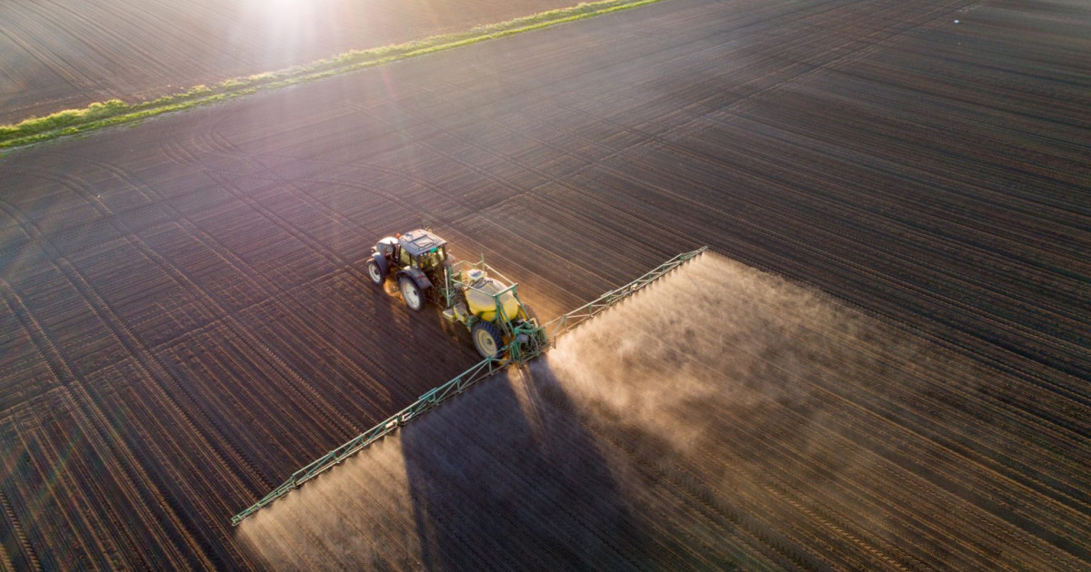 Senatul aprobă utilizarea dronelor în agricultură: reglementări precise pentru tratamentele ...